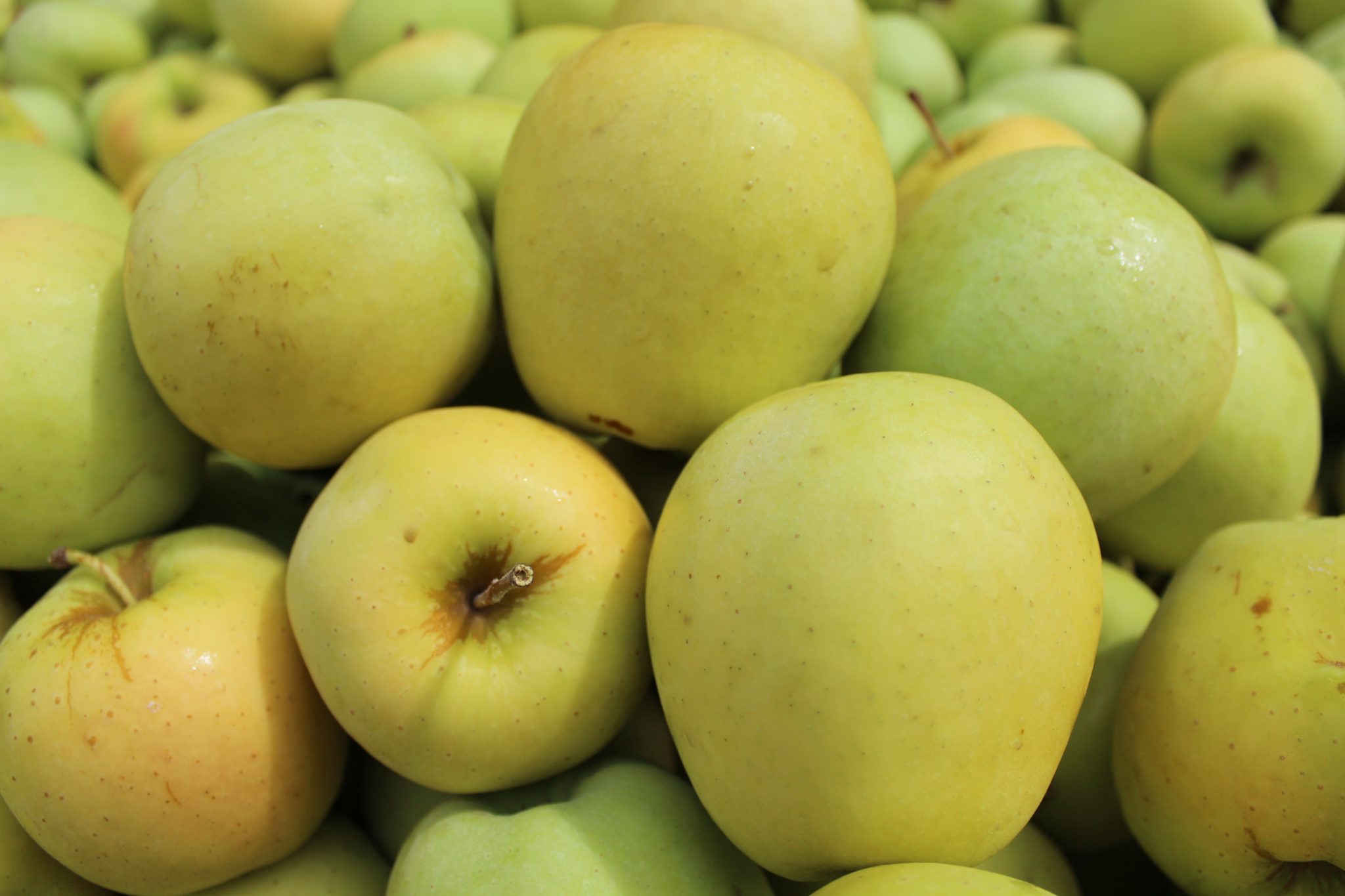 Manzana Golden XL - Valmafruit